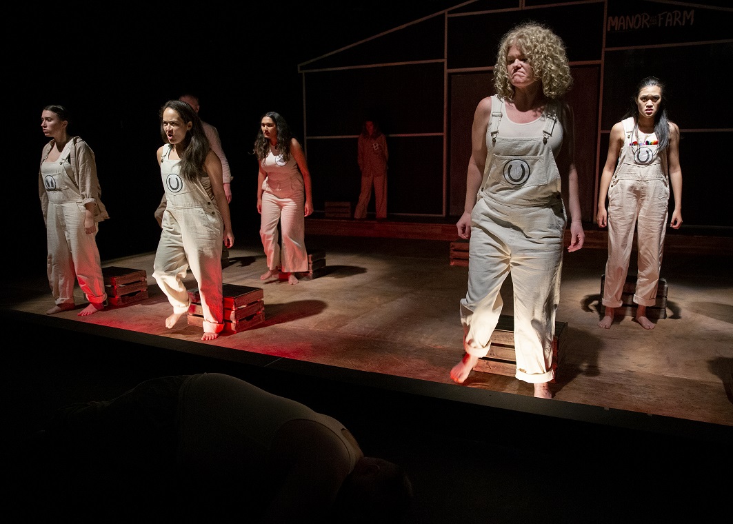 Review: Animal Farm | State of the Art Media